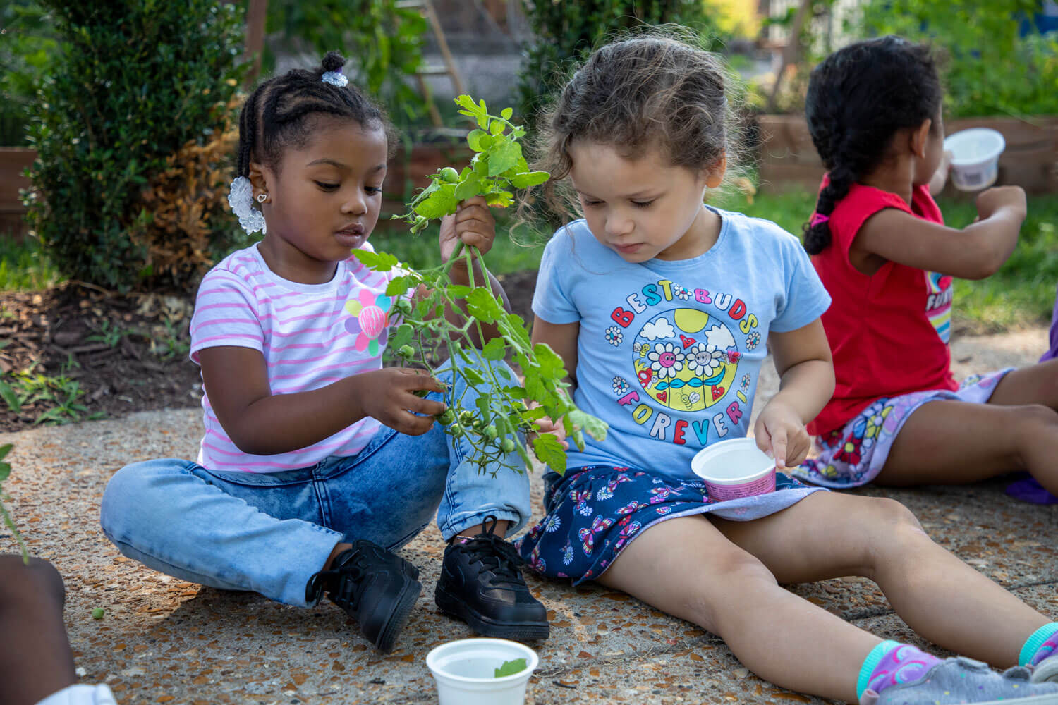 Preschool - Cornerstone Center for Early Learning